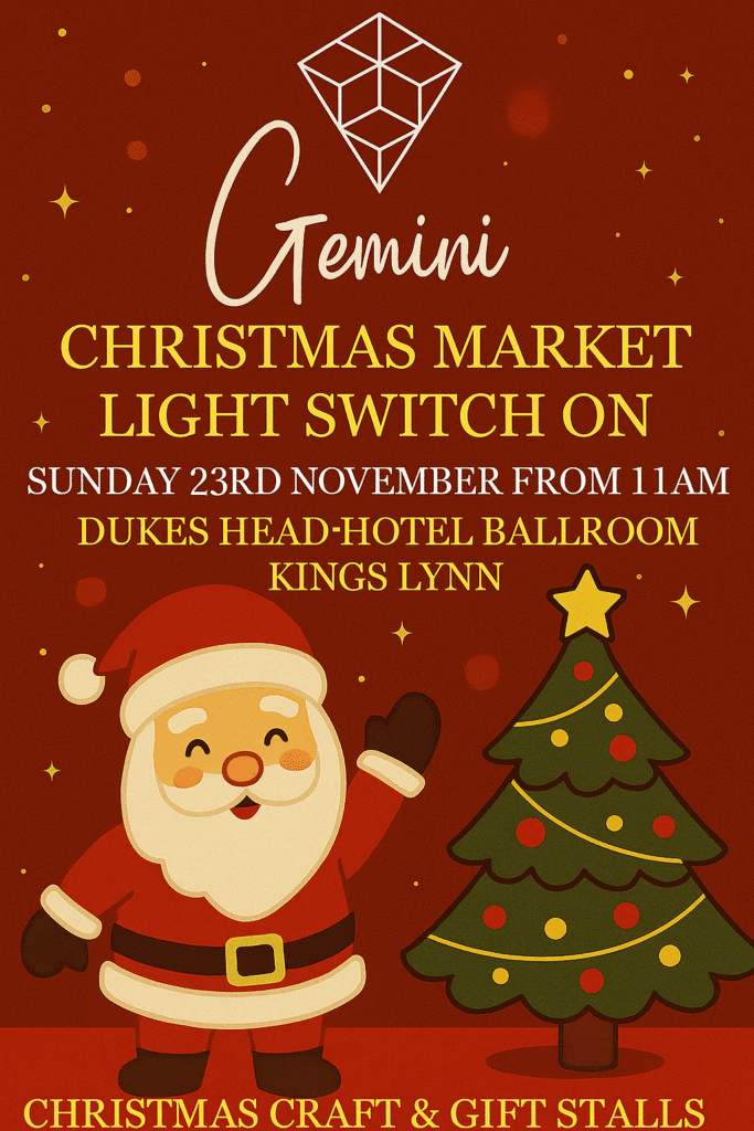 Gemini Christmas Light Switch On - Norfolk Events