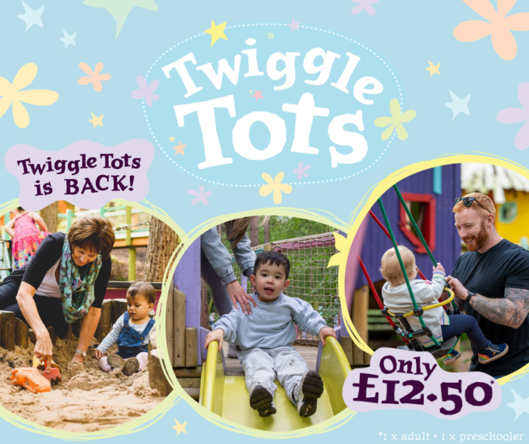 Twiggle Tots - Norfolk Events